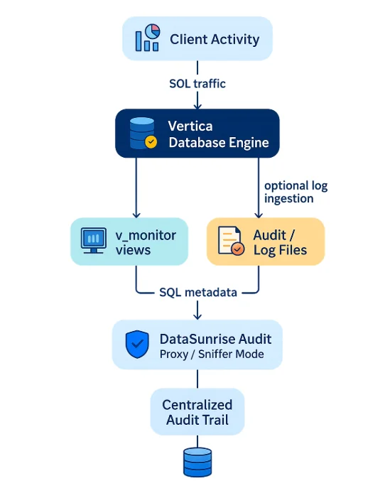 What Is Vertica Audit Trail?